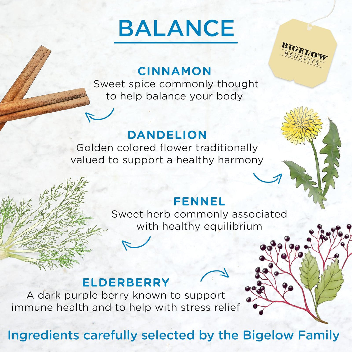 cinnamon and blackberry herbal infusion