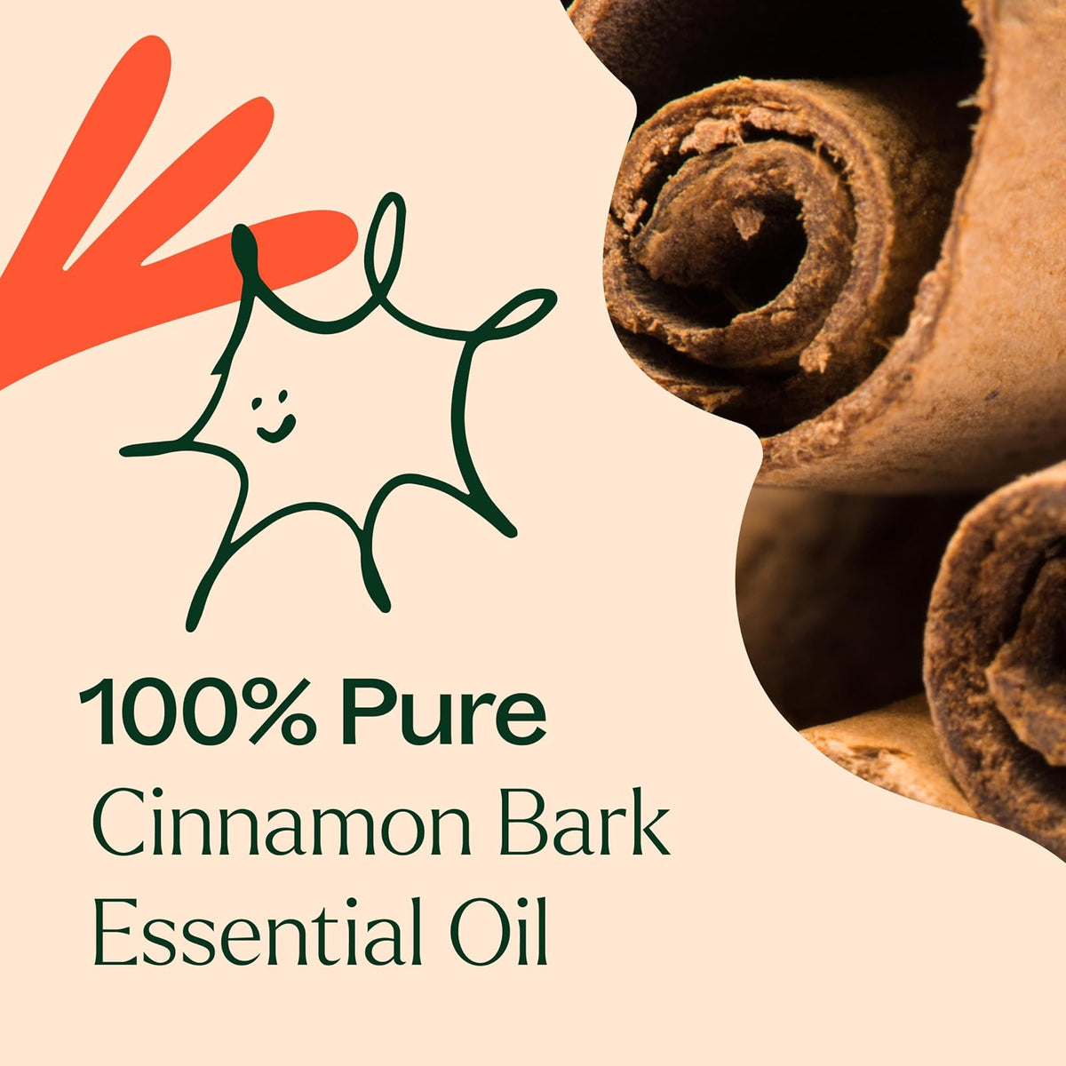 cinnamon bark essential oil benefits
