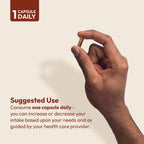 cinnamon capsules for antioxidant properties