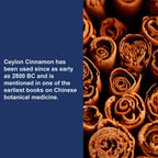 Cinnamon capsules for daily nutrition