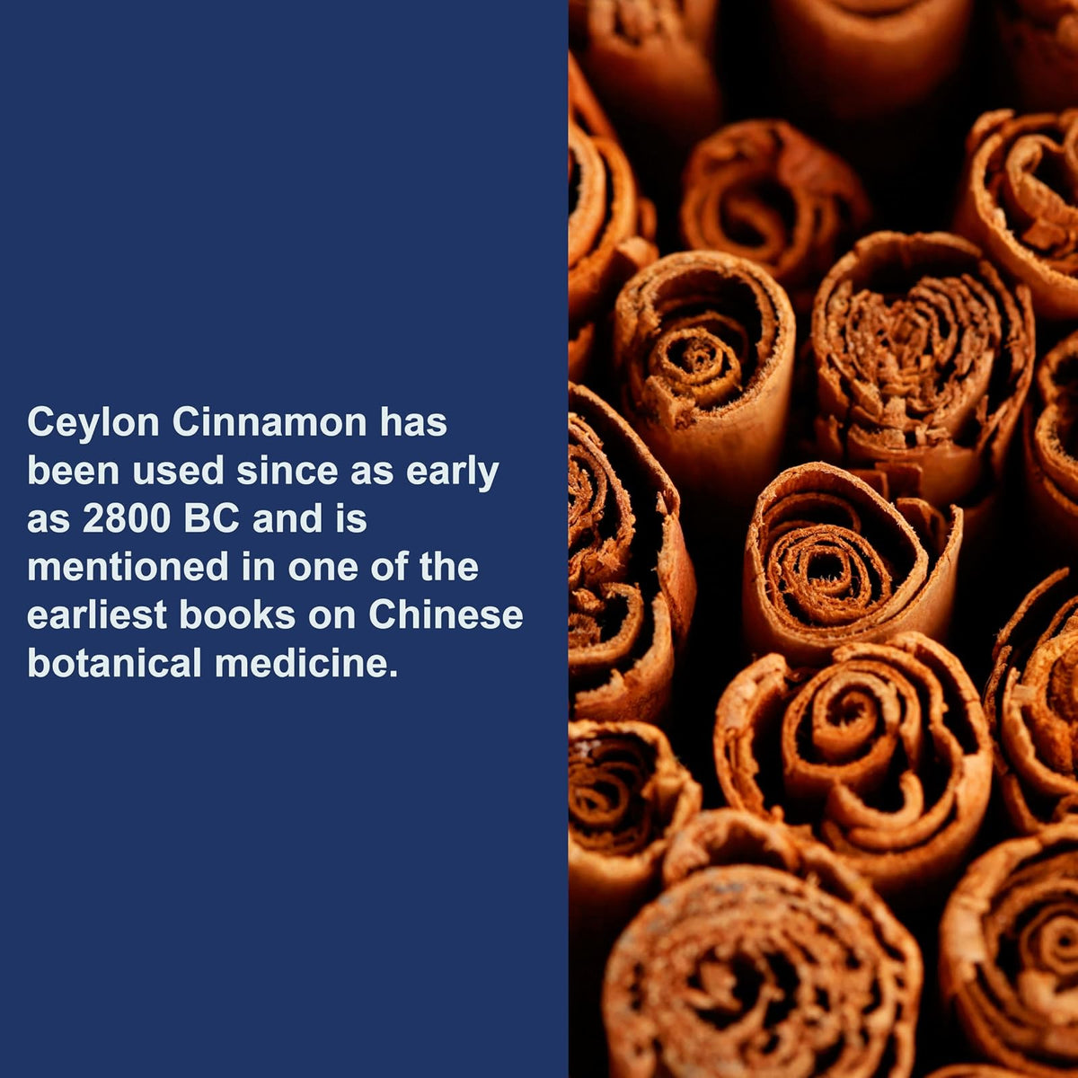 Cinnamon capsules for daily nutrition