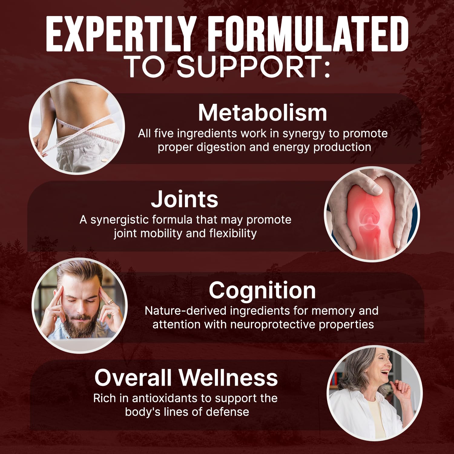 cinnamon capsules for healthy digestion
