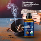 cinnamon essential oil for aromatherapy