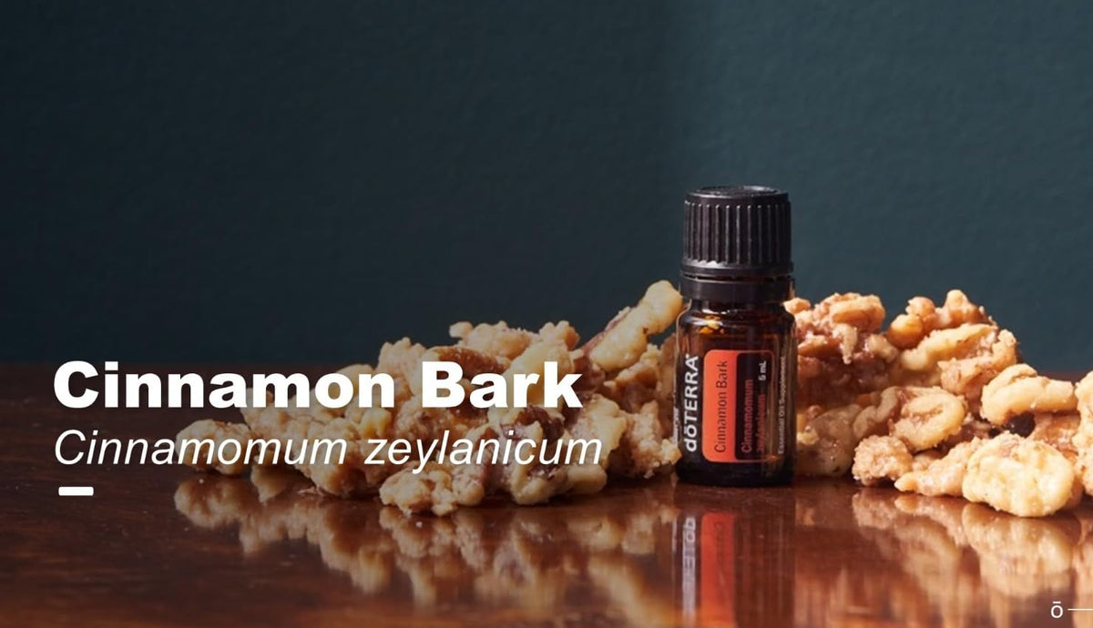 cinnamon essential oil for home fragrance