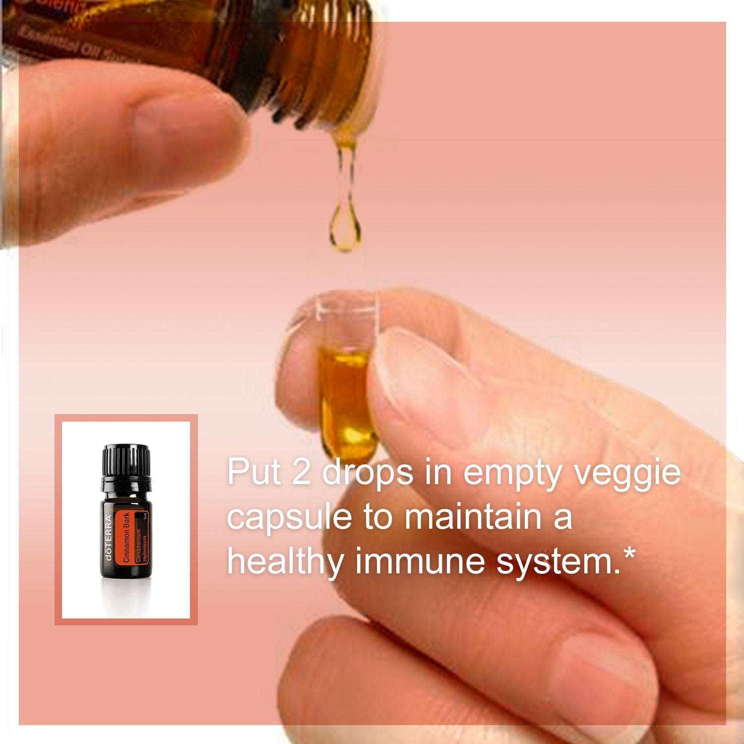cinnamon essential oil for immune support