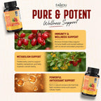cinnamon extract for digestive health