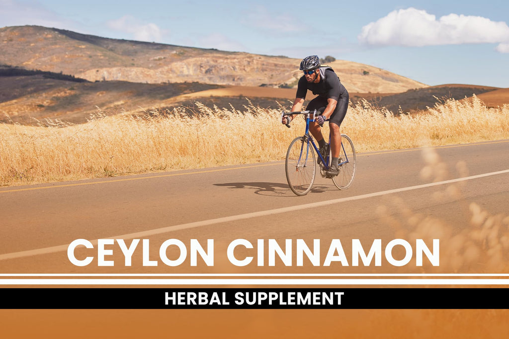 cinnamon for digestive health