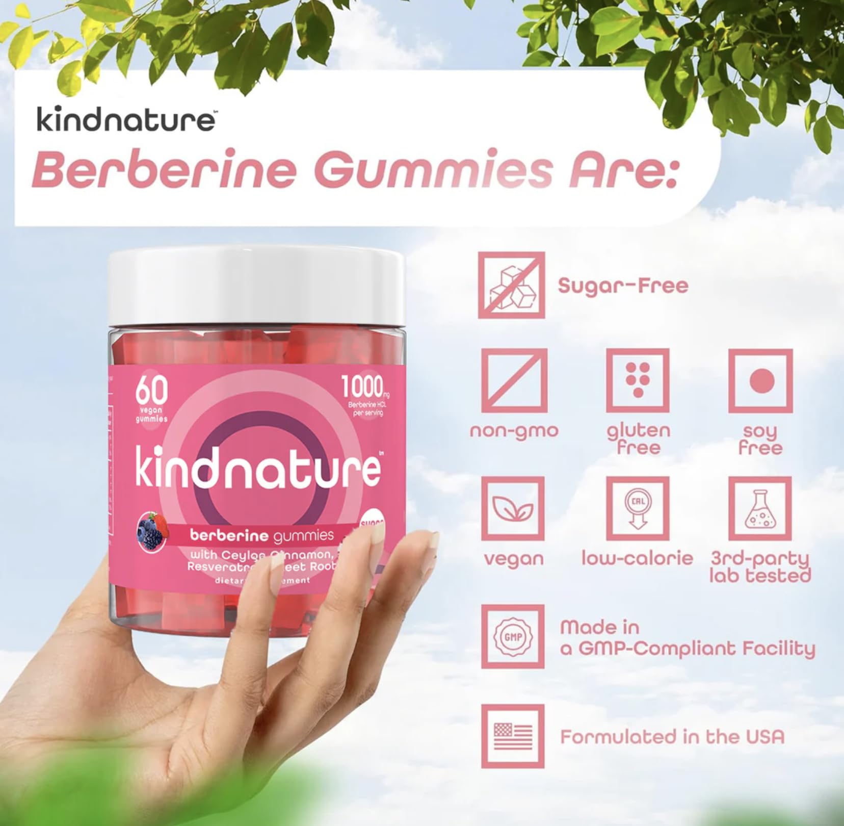 Cinnamon gummies for wellness