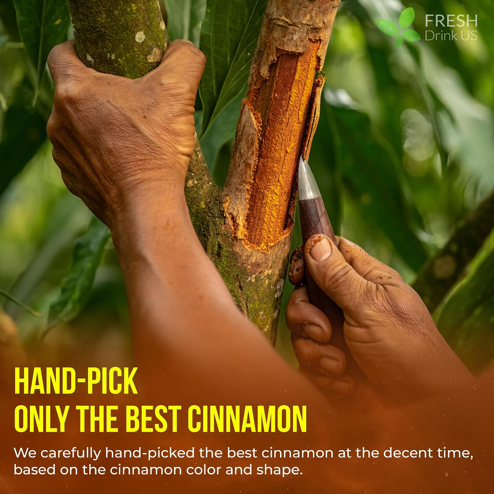 cinnamon herbal tea for digestive health