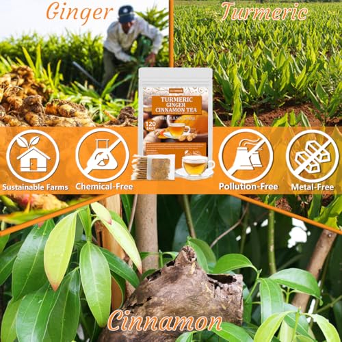 cinnamon herbal tea for immune support