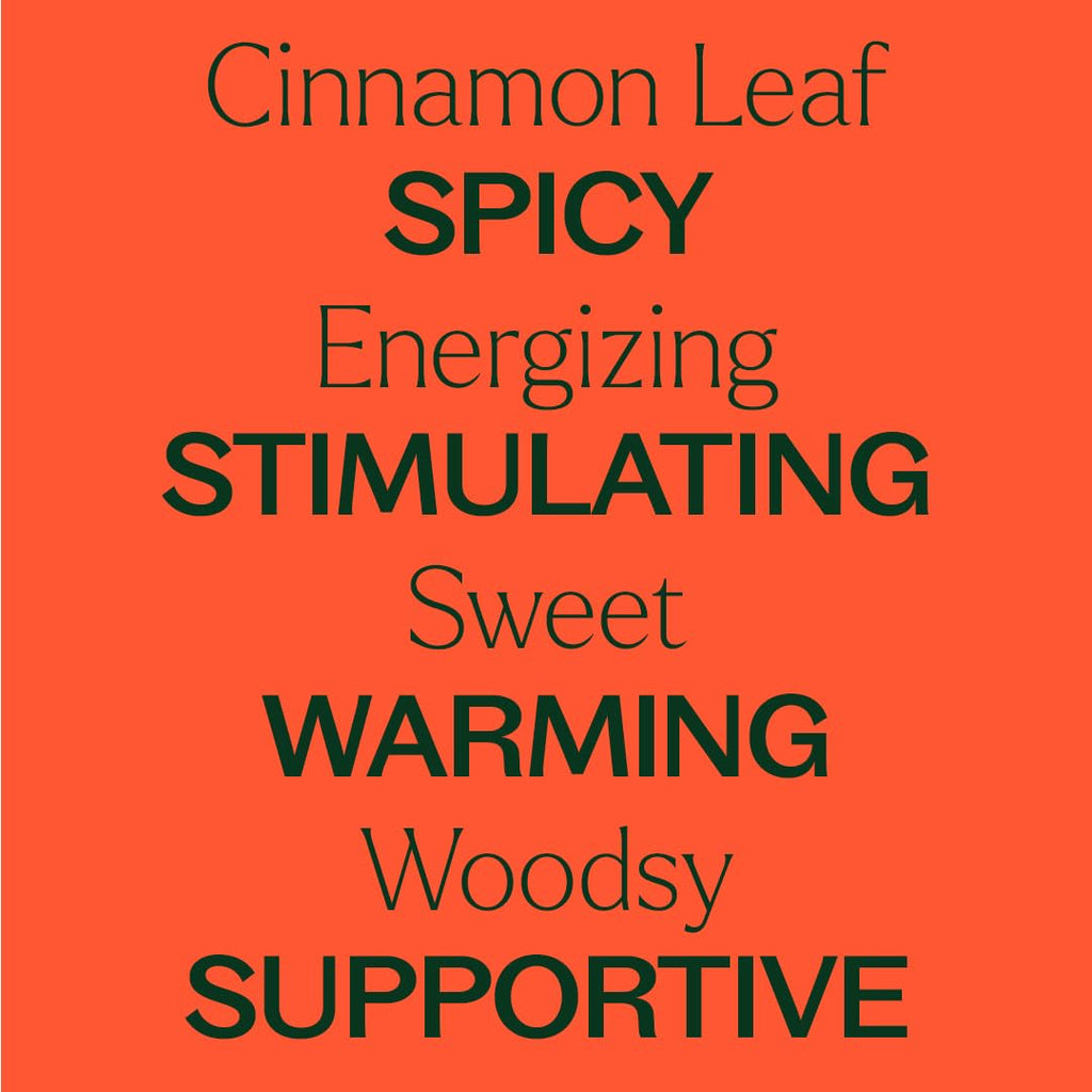 cinnamon leaf oil for relaxation