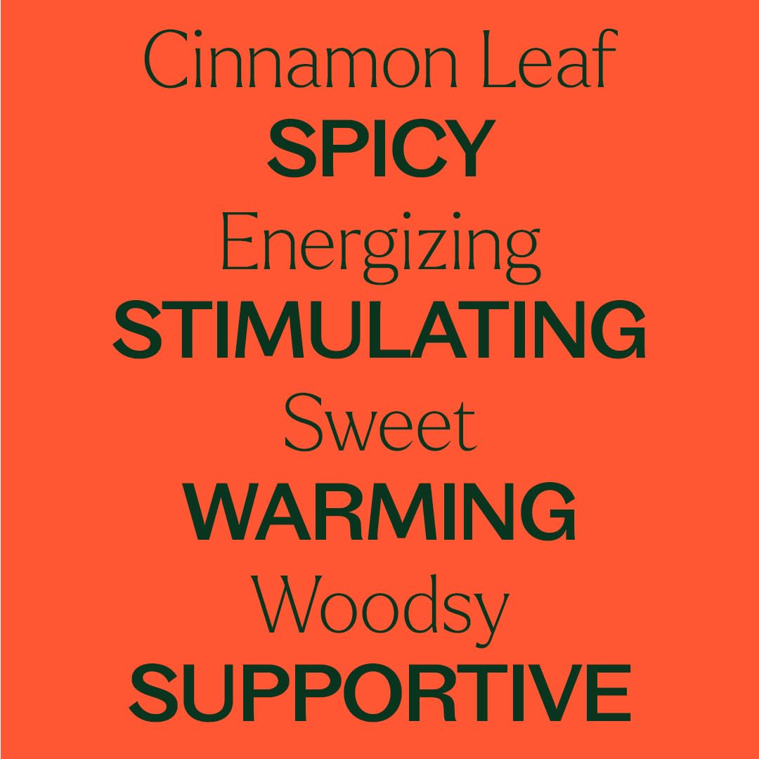 cinnamon leaf oil for relaxation