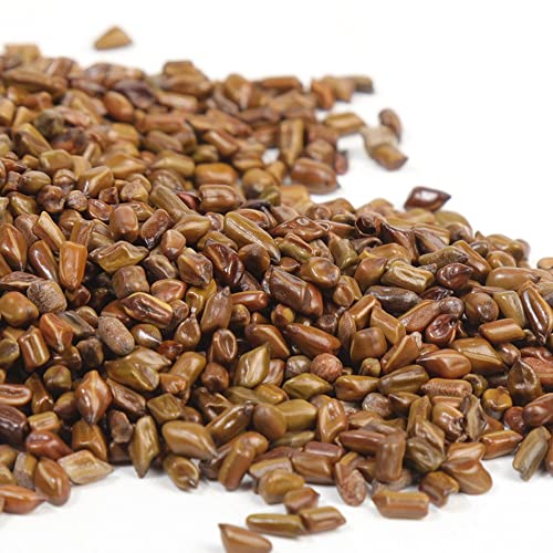 cinnamon lovers herbal infusion