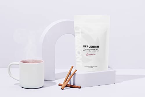 Cinnamon mushroom powder for smoothies
