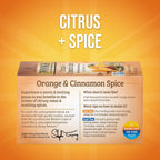 cinnamon spice herbal tea bags