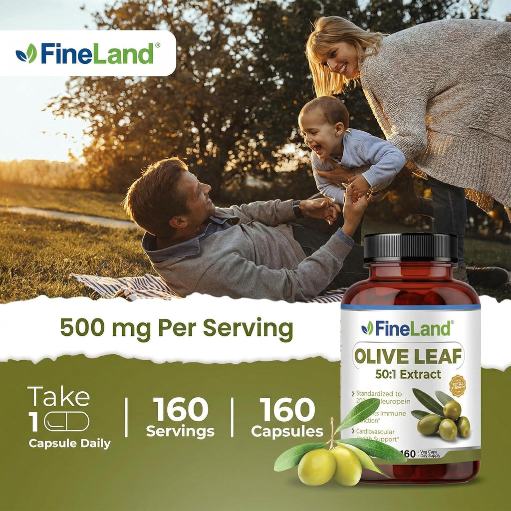 circulatory support with olive leaf extract