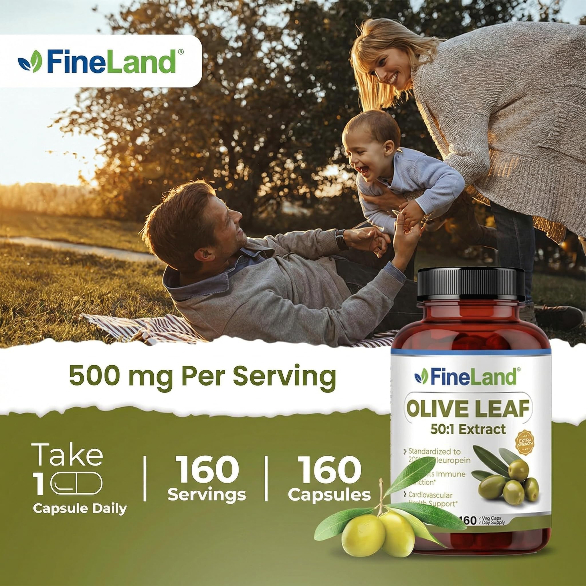 circulatory support with olive leaf extract