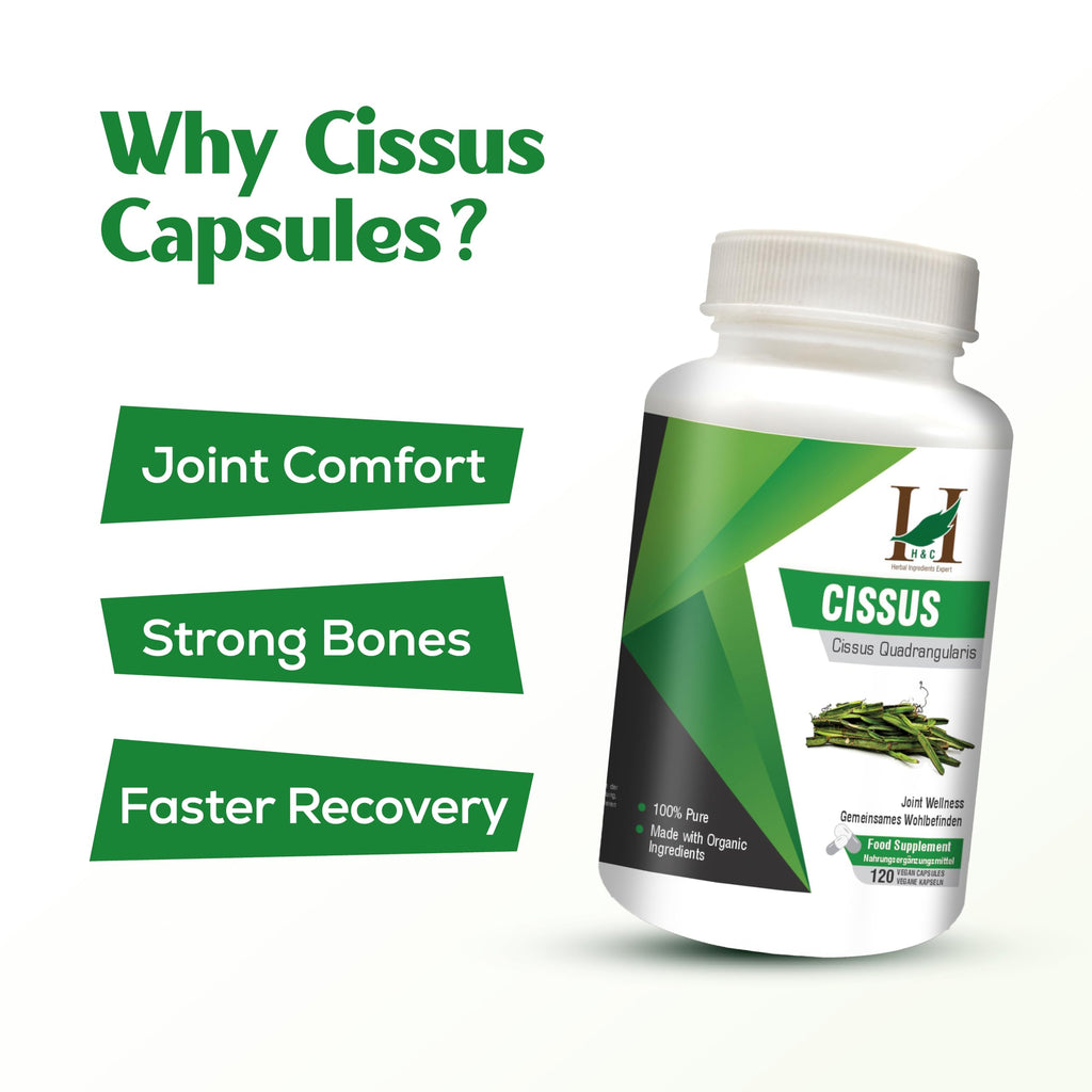 cissus quadrangularis benefits for muscle recovery