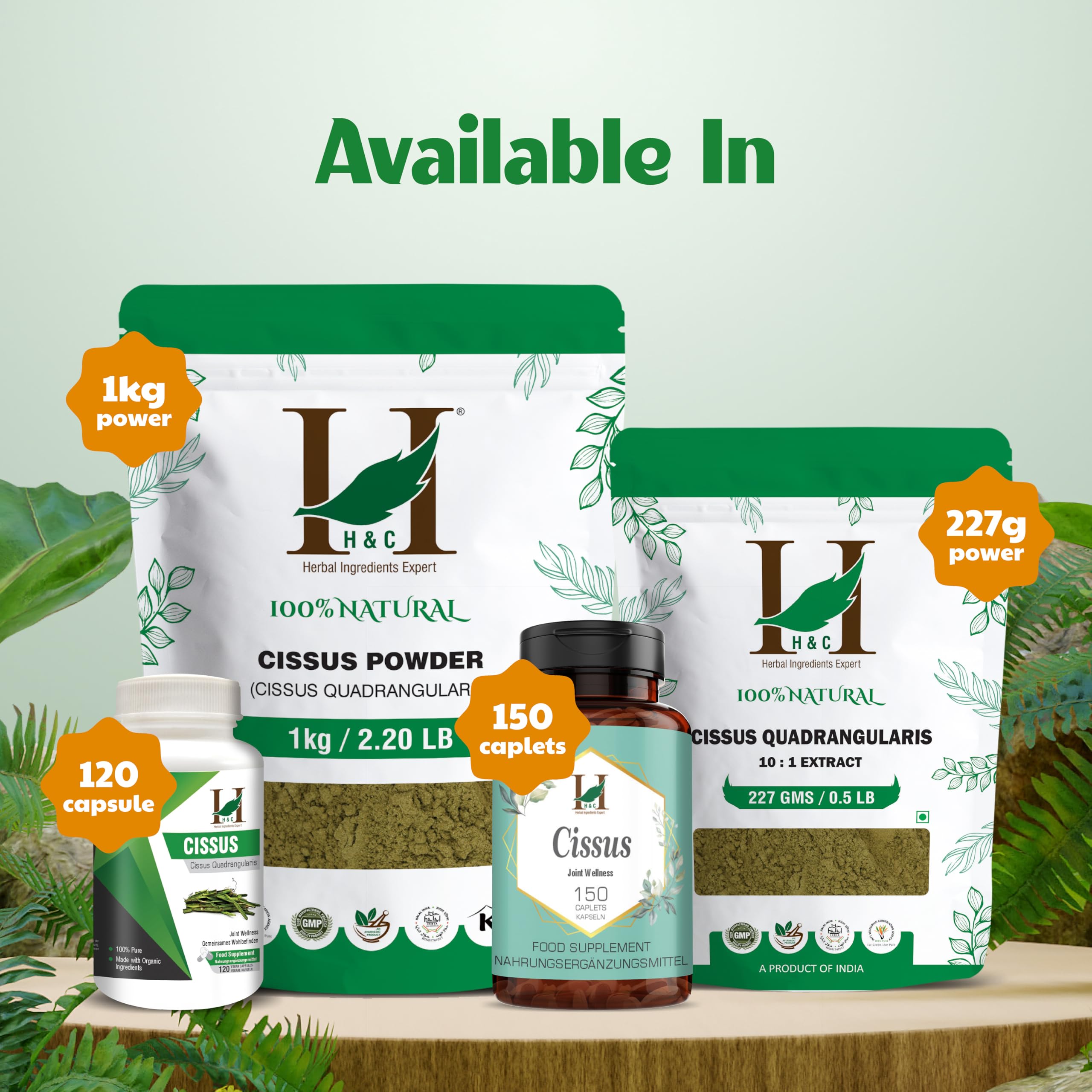 cissus quadrangularis capsules for enhanced mobility