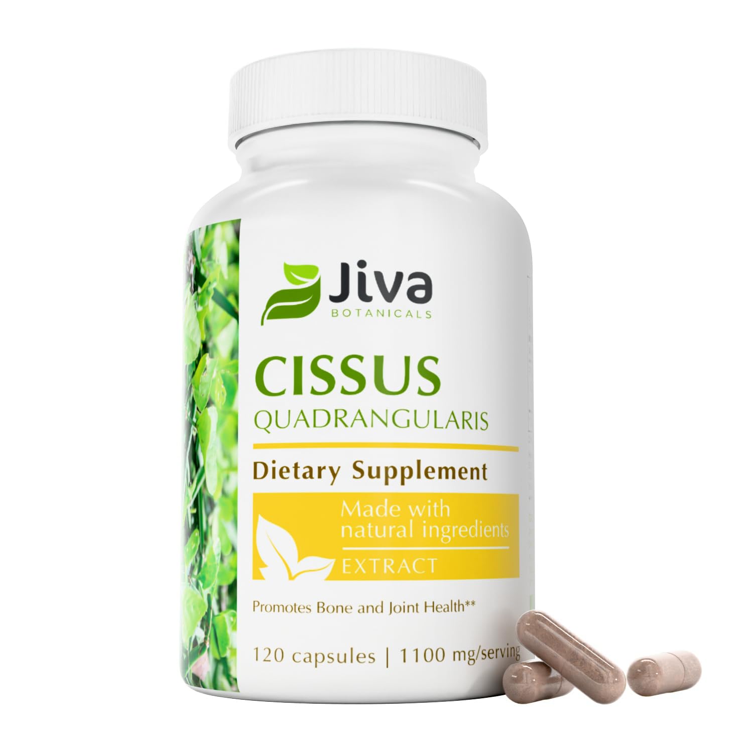 cissus quadrangularis capsules for joint health