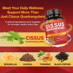 Cissus Quadrangularis extract for wellness