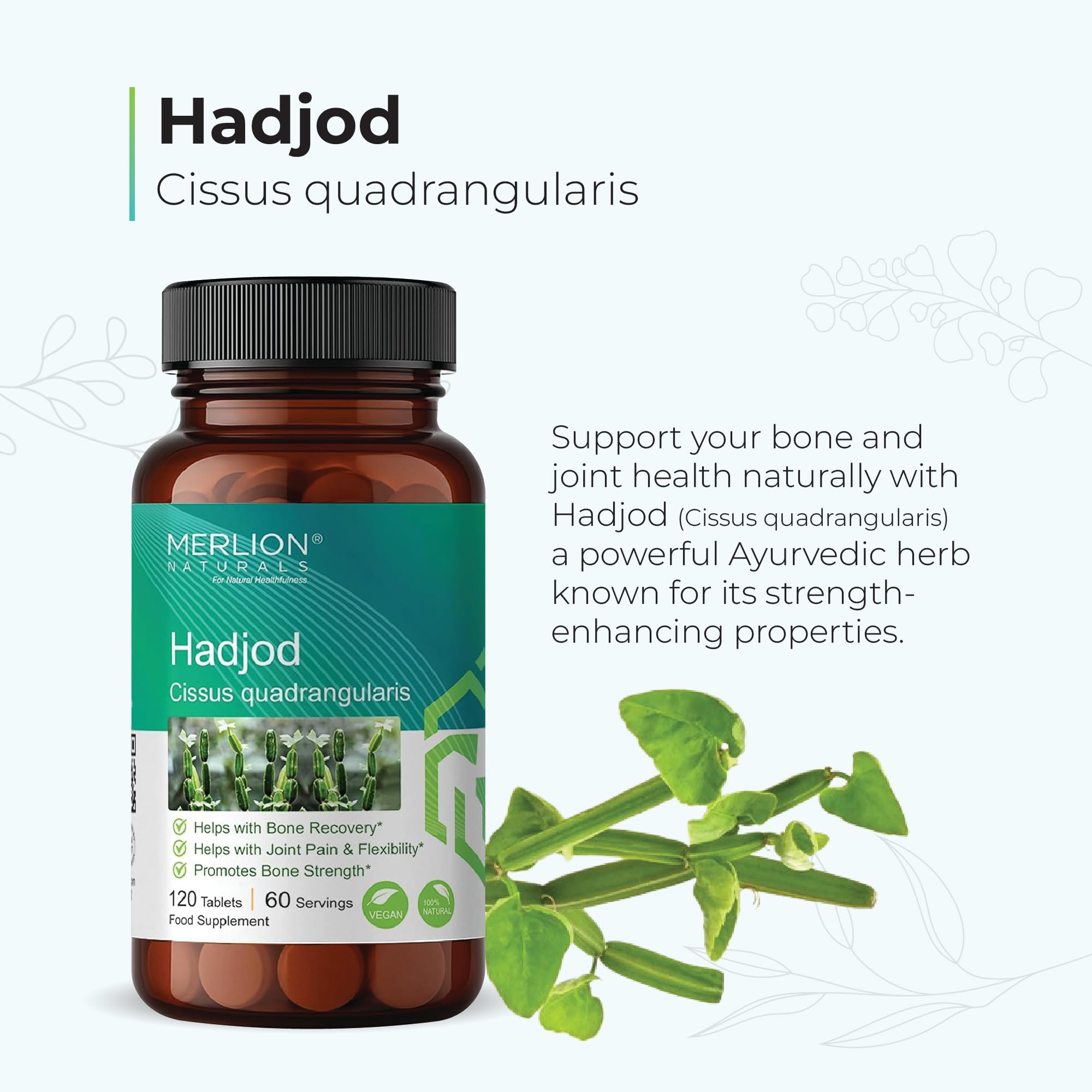 Cissus quadrangularis health benefits