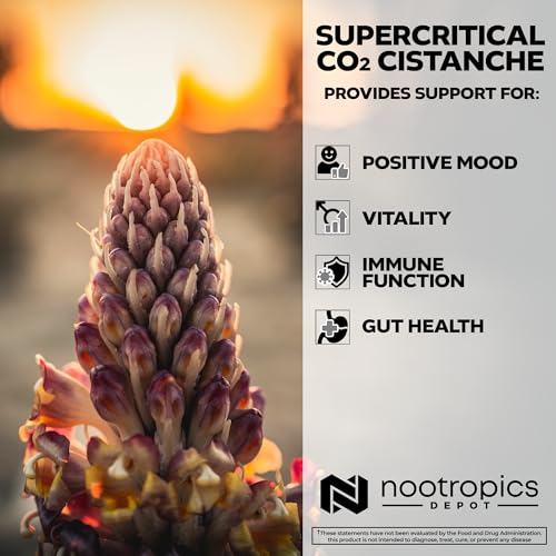 Cistanche extract capsules for vitality