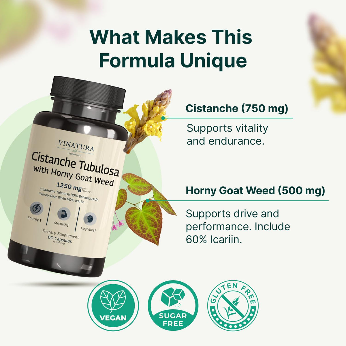 Cistanche extract for enhanced performance