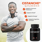 Cistanche extract for immune support