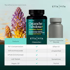 Cistanche multivitamin for men’s wellness