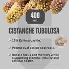 Cistanche Tubulosa extract for endurance