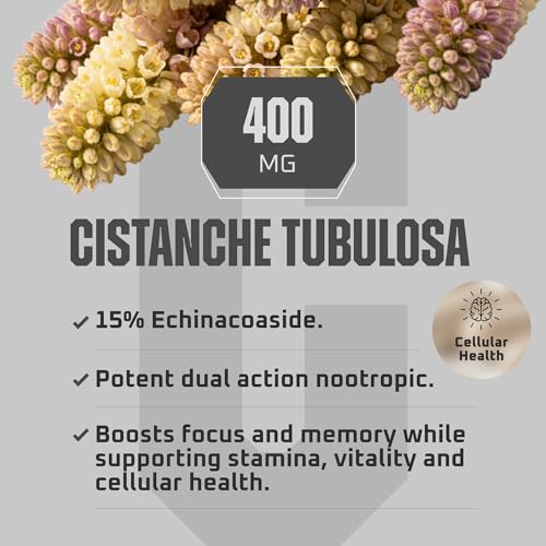 Cistanche Tubulosa extract for endurance