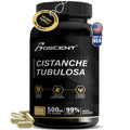 Cistanche Tubulosa Extract for stamina