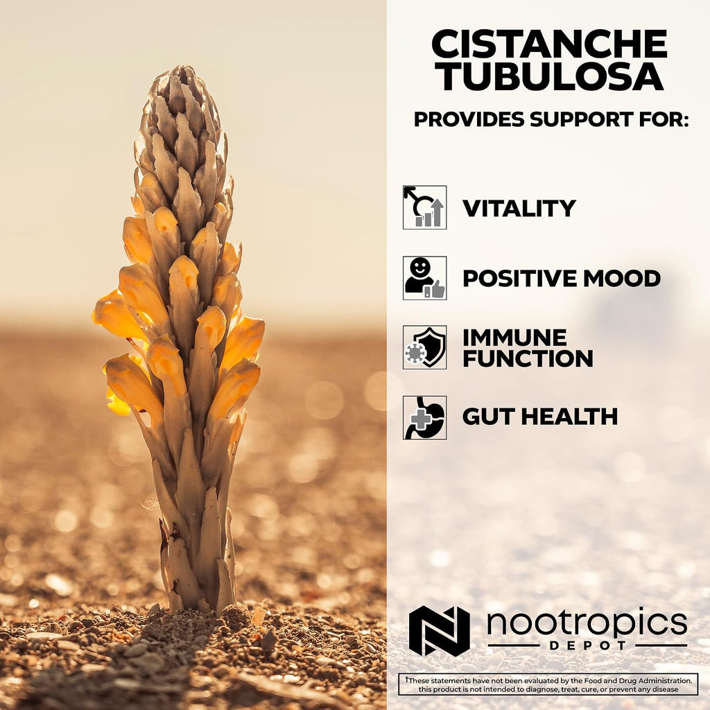 Cistanche tubulosa for athletic performance