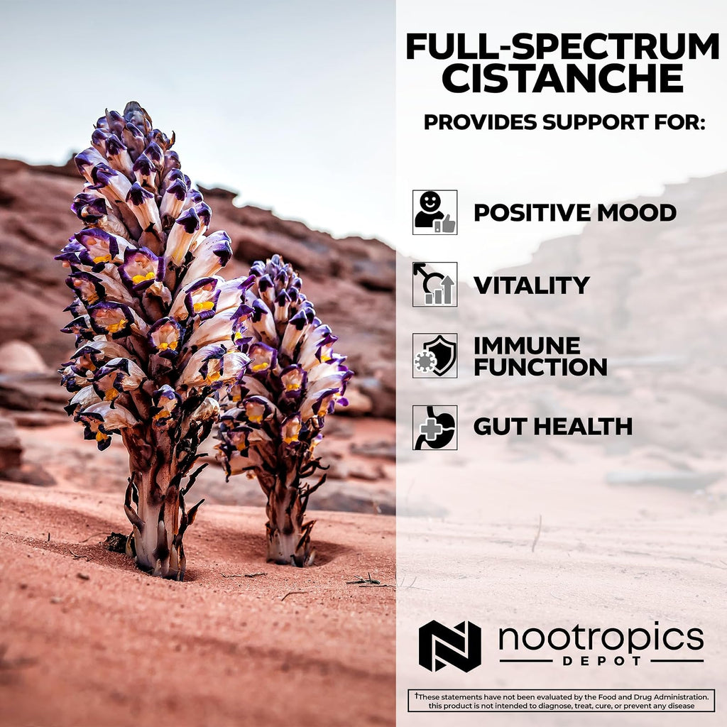 Cistanche tubulosa for athletic recovery