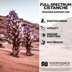 Cistanche tubulosa for athletic recovery