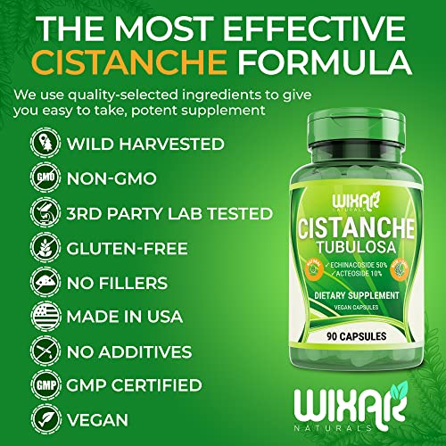 Cistanche Tubulosa for cognitive support