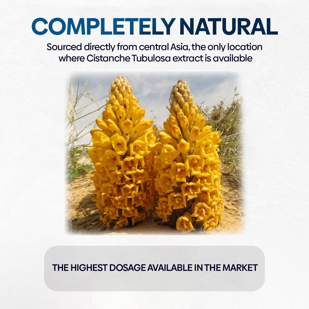 Cistanche Tubulosa for improved focus