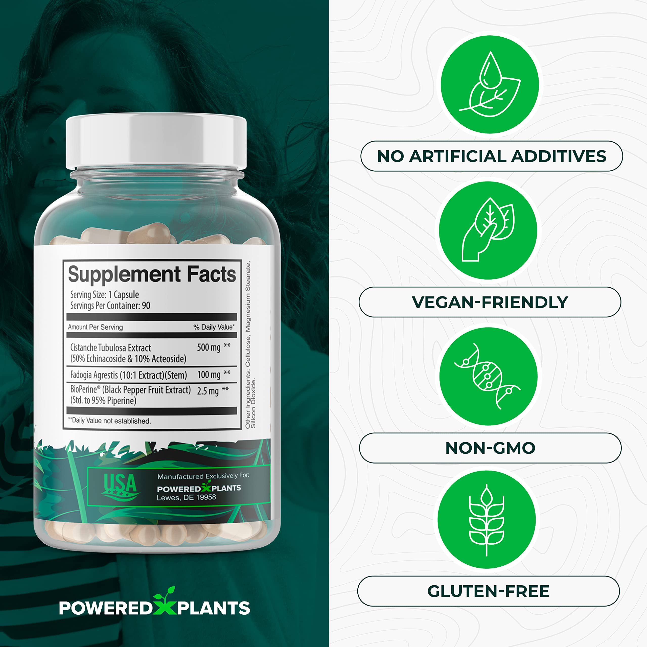 Cistanche Tubulosa for overall wellness
