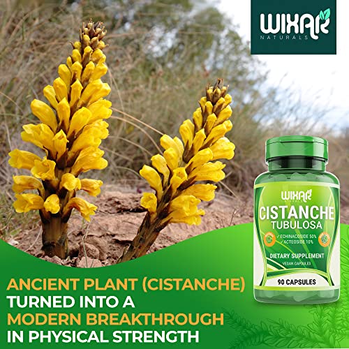 Cistanche Tubulosa health benefits