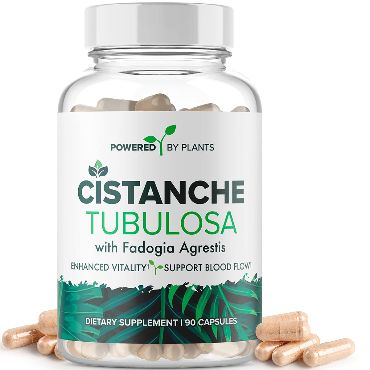 Cistanche Tubulosa multivitamins for energy
