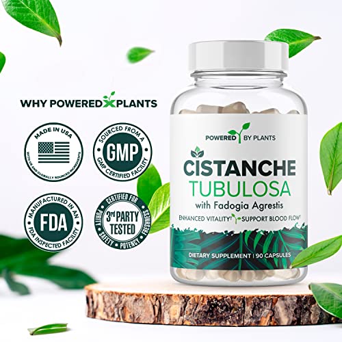 Cistanche Tubulosa natural health solution