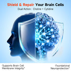 Citicoline for memory improvement