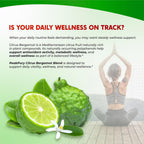 Citrus Bergamot herbal supplement benefits