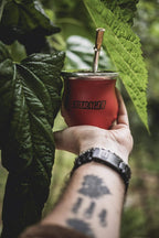 citrus-flavoured yerba mate benefits