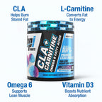 CLA and Carnitine fat burners