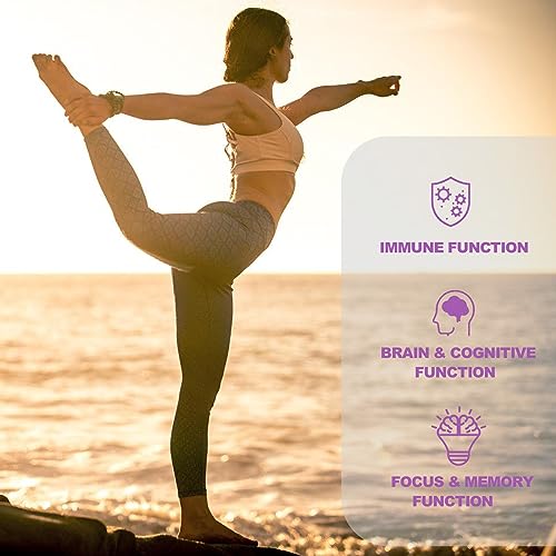 clarity and focus mushroom formula