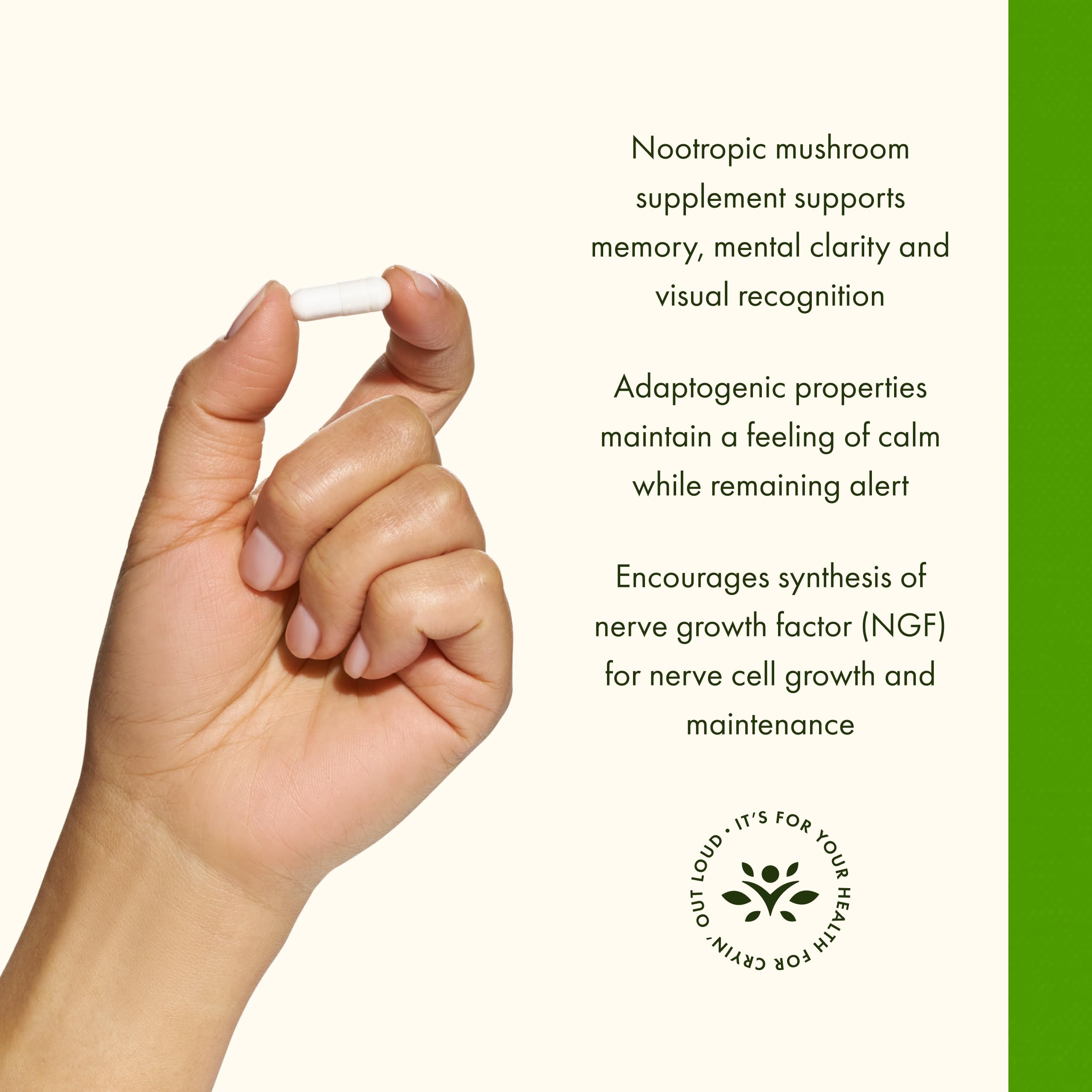 Clarity support from mushroom supplements