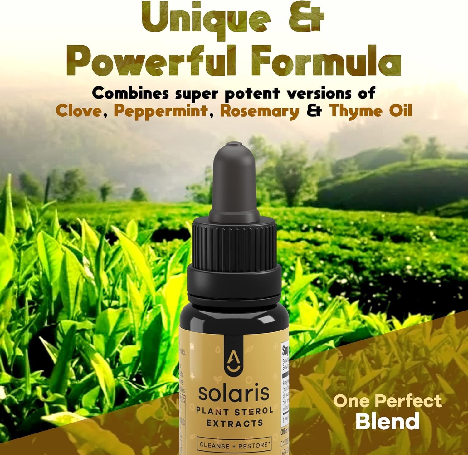 clean diffuser oil for relaxation