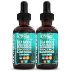 Clean Nutraceuticals sea moss drops benefits